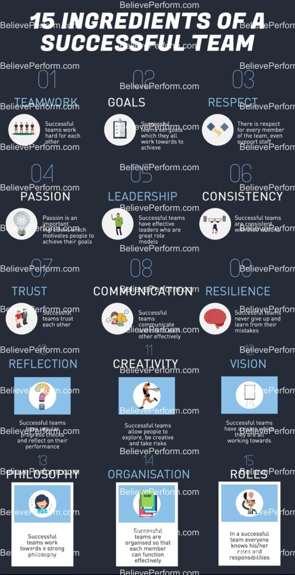 15 ingredients of a successful team - BelievePerform - The UK's leading ...
